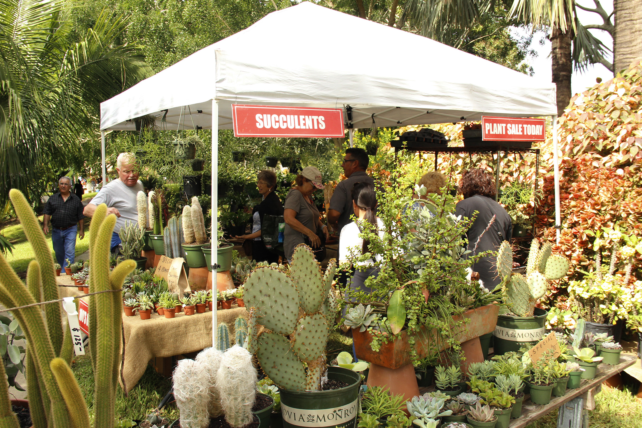 Mounts Botanical Garden of Palm Beach County Announces PLANT-A-PALOOZA ...