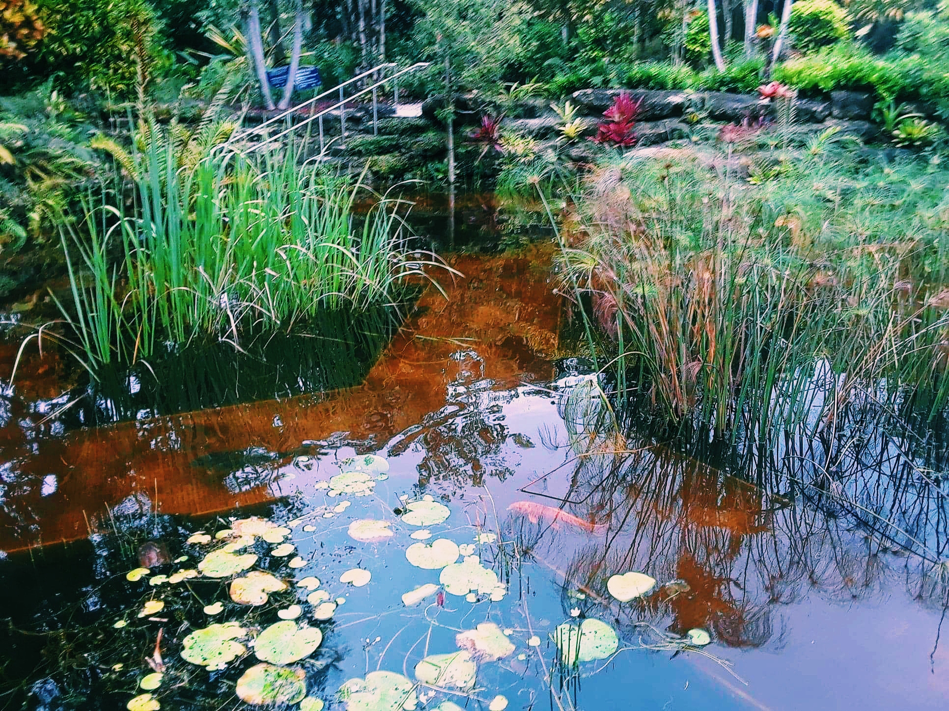 Mounts Botanical Garden of Palm Beach County Says ‘I Do’ to Local ...