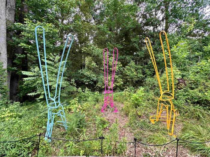 Discover Nature’s Beauty at the Forest Forms Exhibition at Bonnet House ...