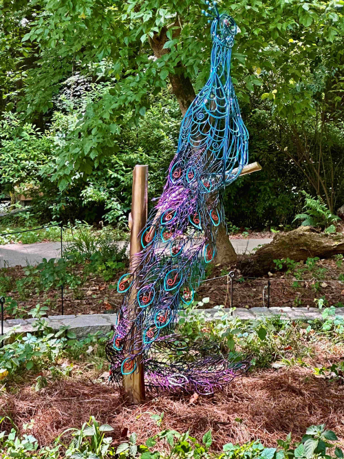 Discover Nature’s Beauty at the Forest Forms Exhibition at Bonnet House ...