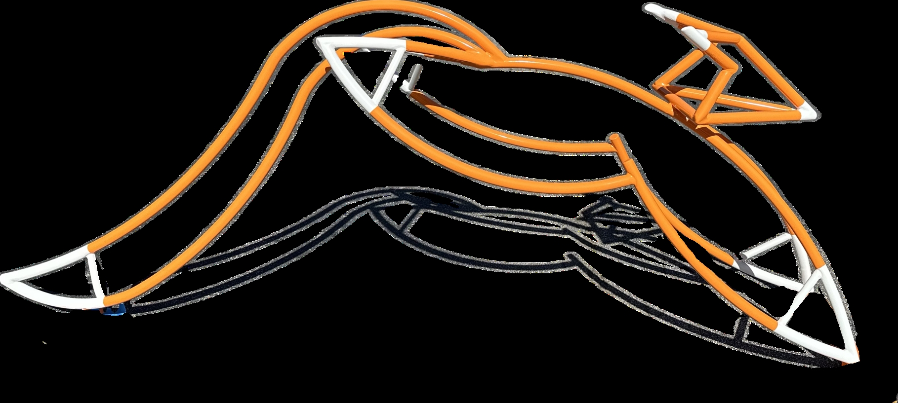 Discover Nature’s Beauty at the Forest Forms Exhibition at Bonnet House ...