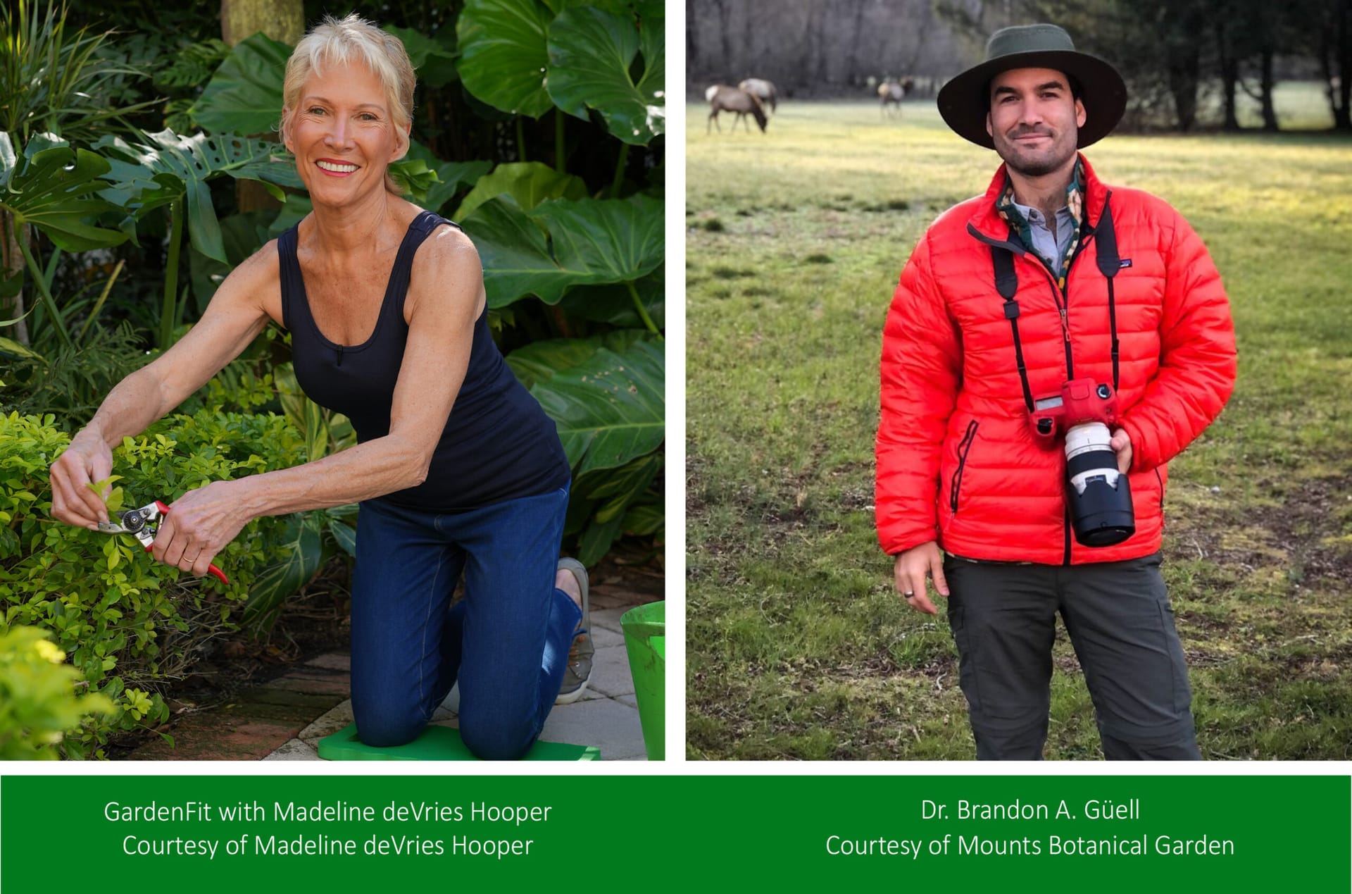 Mounts Botanical Garden of Palm Beach County Celebrates April Flowers ...