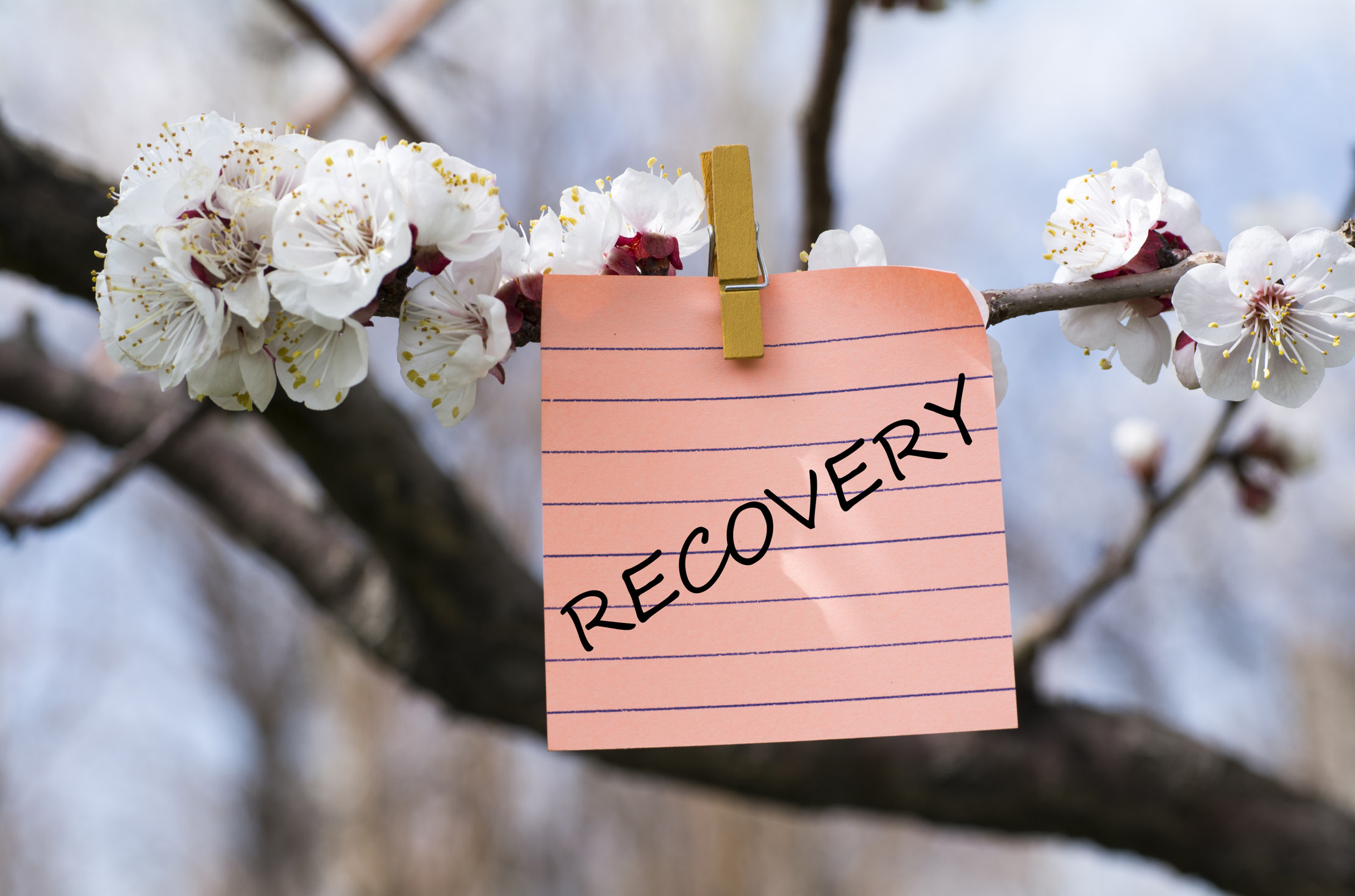 What Recovery Looks Like and How to Get Help - OCQ