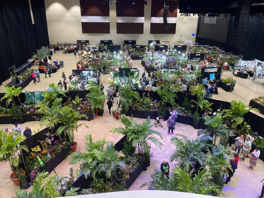 “Orchid Magic” Orchid Show and Sale is Jan. 9-11 in Pembroke Pines - OCQ